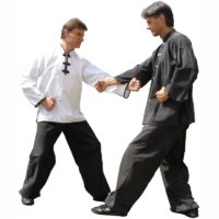 Hsing-I Chuan-Partnerübungen - Andrew Dabioch · Tao Academy