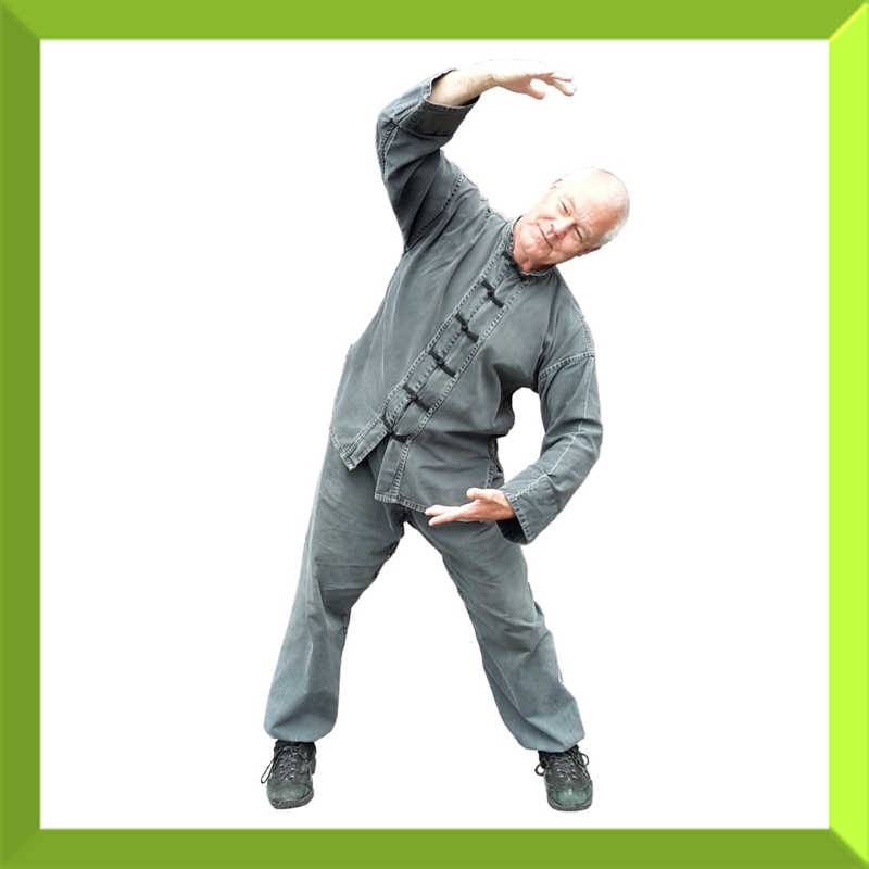 DVDs mit Lehrmeister Hans-Jürgen Steinert - Andrew Dabioch · Tao Academy