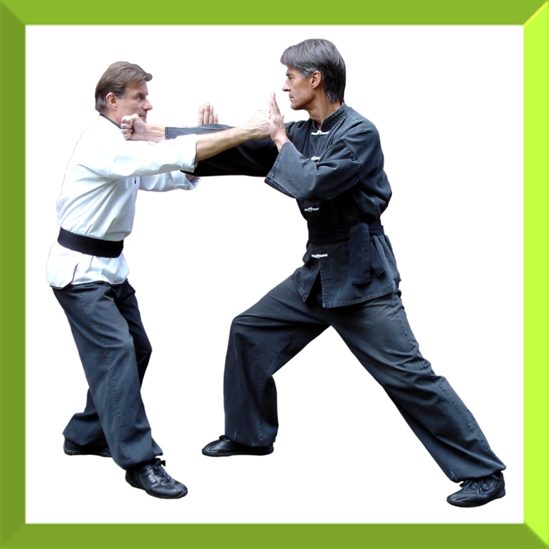 Tang Lang-Formen mit und ohne Partner - Andrew Dabioch · Tao Academy